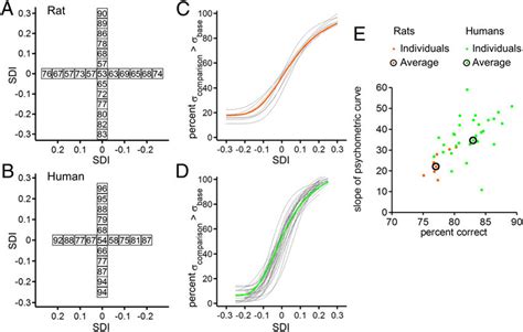 Tactile Acuity A Data Averaged Across Seven Rats To Generate The