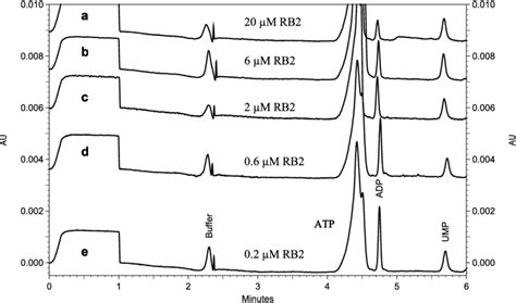 Overlay Of Five Electropherograms After Ntpdase3 On Line Reaction At