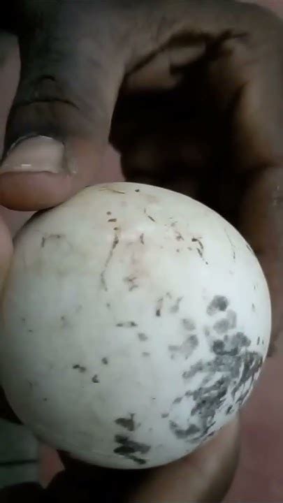 White Diamond Meteriod Youtube