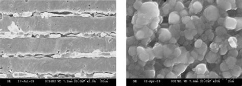 Sem Showing Microstructure Of The Fracture Surface And Grain Size Of Download Scientific