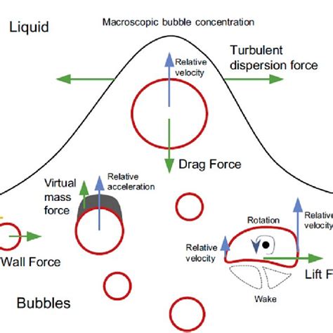 Schematic Diagram Of Experimental Apparatus Containing The Multiphase