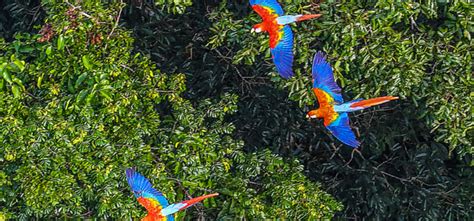 Amazon Echo Th Generation Review How It Works