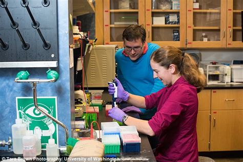 Digital Pictures Being Stored In DNA For The First Time In Technology Breakthrough Daily Mail