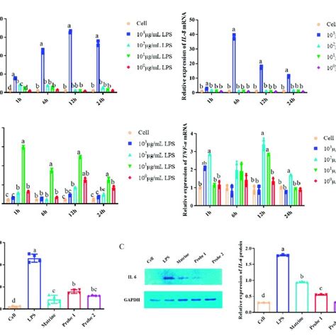 Prrsv Genome Structure Download Scientific Diagram