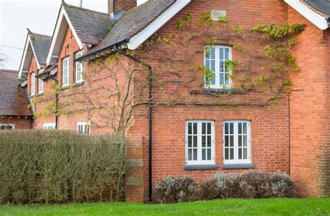 Wisteria Tree Growing On The Wall Of A House In Winter UK Stock Image Image Of Wall House