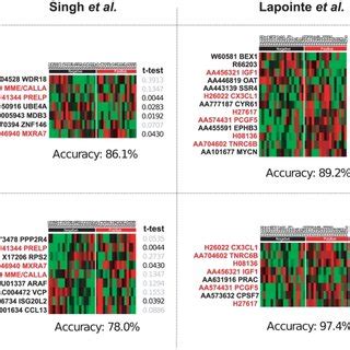 The Figure Shows The Heat Maps Representing The Expression Profile Of