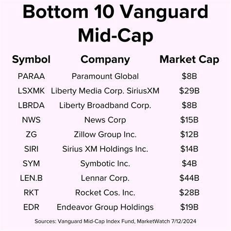 What Are Large Mid And Small Cap — Scaled Finance