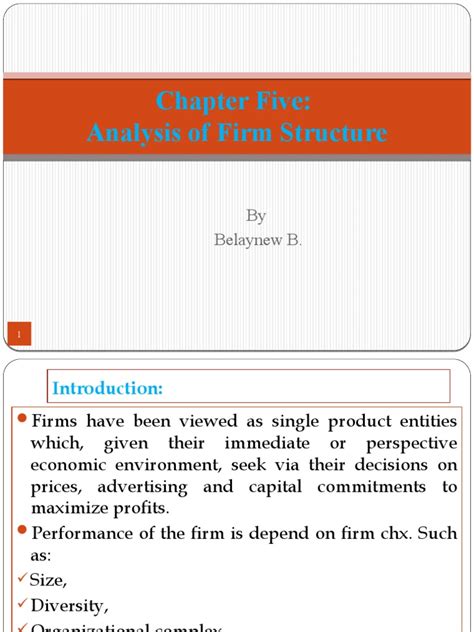 Chapter Five Analysis Of Firm Structure By Belaynew B Pdf Partnership Profit Economics