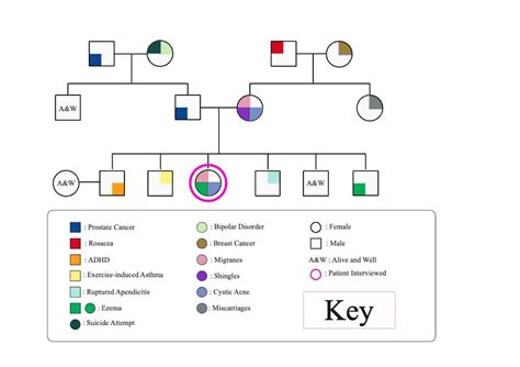 Best 12 Genogram Symbols Meanings EdrawMax Artofit