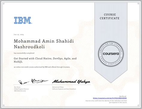 Amin Shahidi Portfolio