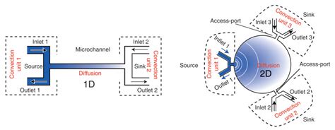 Microfluidic Palette A Gradient Generator Flow 3d Blog