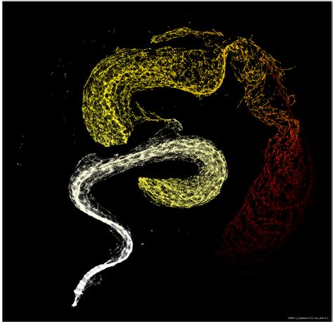 Digital Astronomy With Cellular Automata · Kyle Hovey