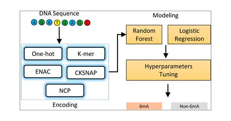 Optimizing Hyperparameter Tuning In Machine Learning To Improve The Predictive Performance Of