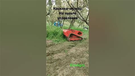 Китайская косилка-мулчер на пульте управления #рекомендации #трактор ...