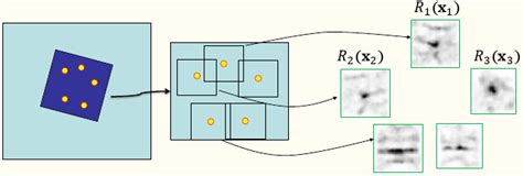 Constrained Local Models