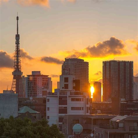 Michael Weening Youtube