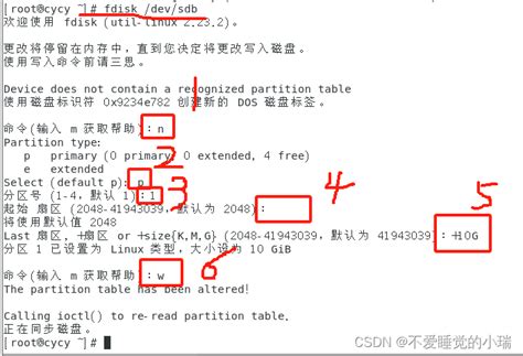 linux中对磁盘的常规处理。分区、格式化、挂载 liunx 磁盘挂载 必须要格式化吗 csdn博客