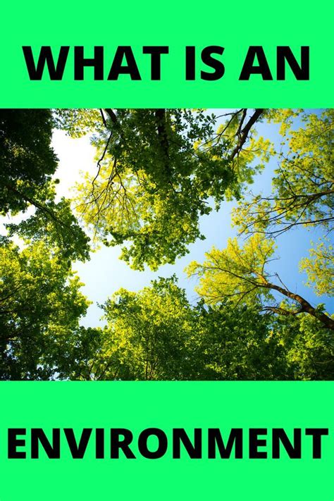 What Is An Environment Basic Information Environment Definition World Environment Day