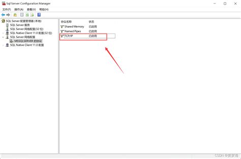 在与 Sql Server 建立连接时出现与网络相关的或特定于实例的错误。未找到或无法访问服务器。请验证实例名称是否正确并且 Sql