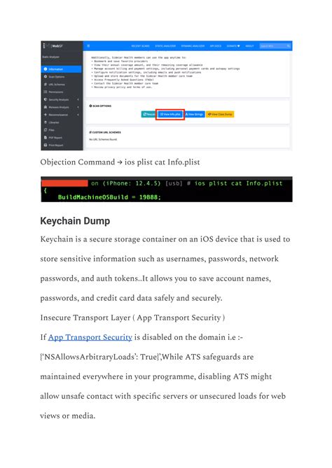 ios application security and static analysis pdf