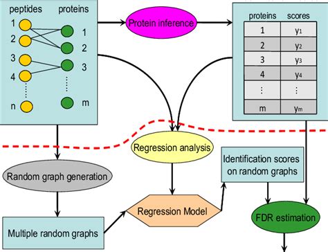 an overview of our fdr estimation algorithm download scientific diagram