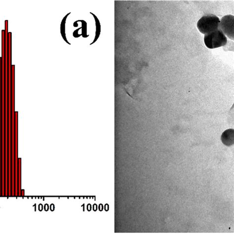 a particle size distribution and b tem micrograph of optimized