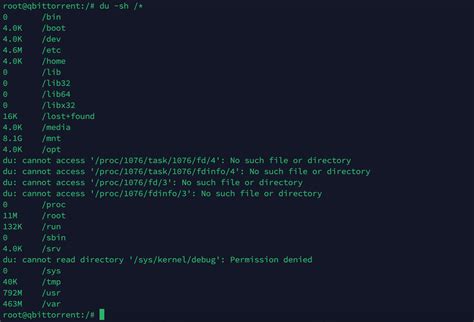 disk usage how to figure out what is using the space on my ubuntu lxc