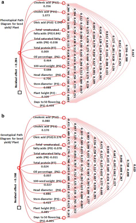 A Phenotypic Path Diagram For Seed Yield Per Plant B Genotypic Download Scientific Diagram