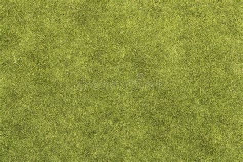 Grass Texture Stock Image Image Of Ground Plant Green 105139251