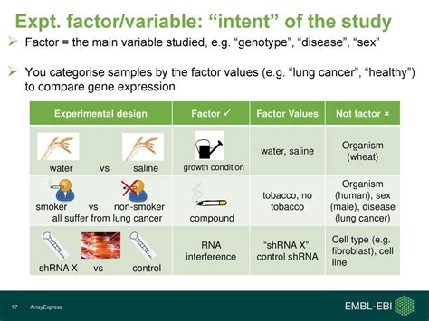 Functional Genomics Data And Expression Look Up Tools Arrayexpress And Expression Atlas Amy