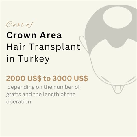 Crown Hair Transplant In Turkey Imperium Hair Transplant Clinic Turkey