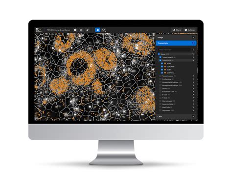 Xenium In Situ 10x Genomics
