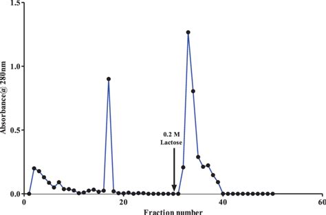 Affinity Chromatography Of Active Gel Filtration Peak On Download