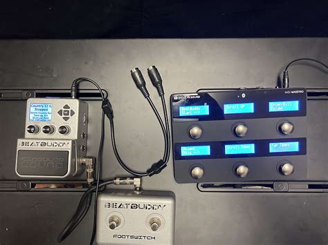 Singular Sound Beatbuddy With Footswitch Midi Maestro And Reverb