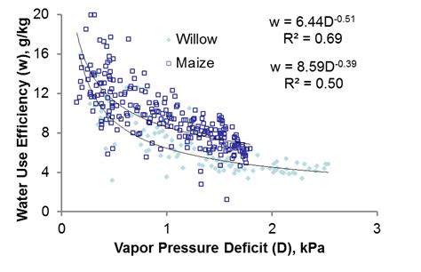Water Use And Water Use Efficiency — Research — Department Of Plant Science