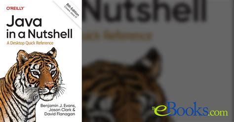 Java In A Nutshell 8th Ed By Benjamin J Evans Ebook
