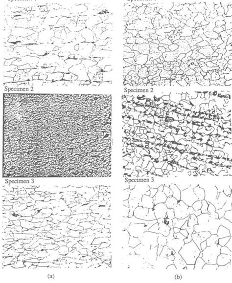 Microscopic Examination Of Crystalline Structure Of Wwf A
