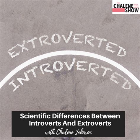 Podcast Scientific Differences Between Introverts And Extroverts CHALENE JOHNSON