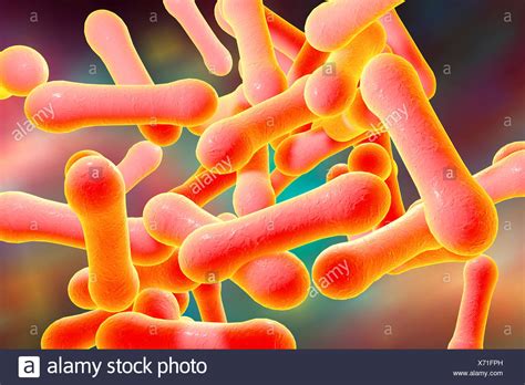 Diphtheria Bacteria Shape Understanding And Engineering Microbiomes