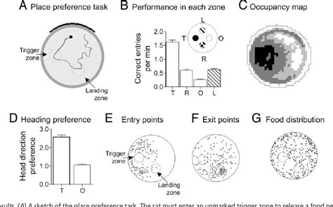 Figure 1 From Coding For Spatial Goals In The Prelimbic Infralimbic