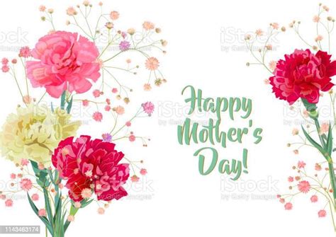 수평 어머니의 날 카네이션과 승리의 날 카드 화이트 레드 핑크 꽃 나뭇가지 집시 흰색 배경 디자인에 대 한 템플릿 수채화 스타일에서 빈티지 식물 그림 벡터 5월에 대한 스톡