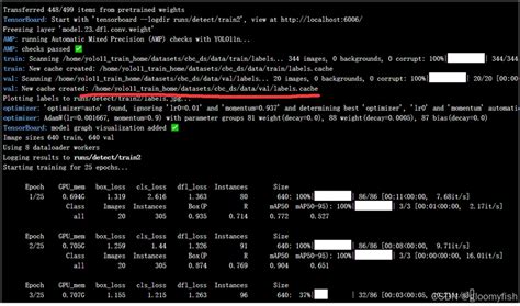 【五分钟学会】yolo11 自定义数据集从训练到部署openvino Yolo11 Csdn博客