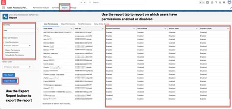 Use The Report Tab To See A Set Of Users And What Their Access Is To A
