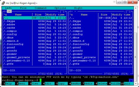 Getting The Right Encoding In A SSH Session Using PuTTY The Blinking Caret