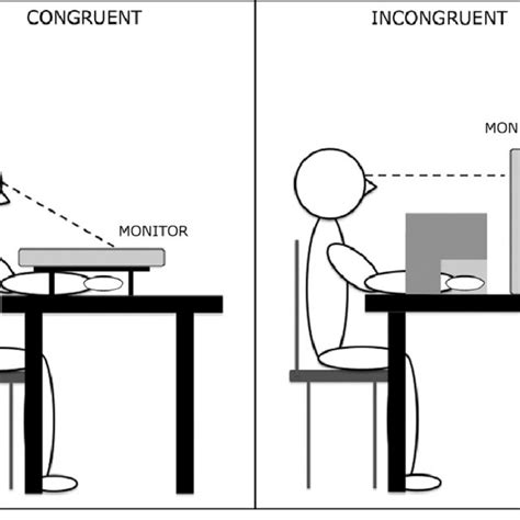 Schematic Depiction Of The Experimental Paradigm For Experiment 2