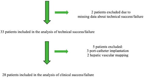 Embolisation Using Microvascular Plugs For Peripheral Applications