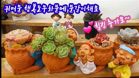 귀여운 행복토우화분에 분갈이하기 힐링추가요 목대있는 다육이도 로제트 다육이도 다 다 예뻐요~ Youtube