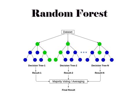 entendendo o algoritmo random forest e suas aplicações práticas