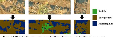 Figure 1 From Uav Based Wilt Detection System Via Convolutional Neural Networks Semantic Scholar